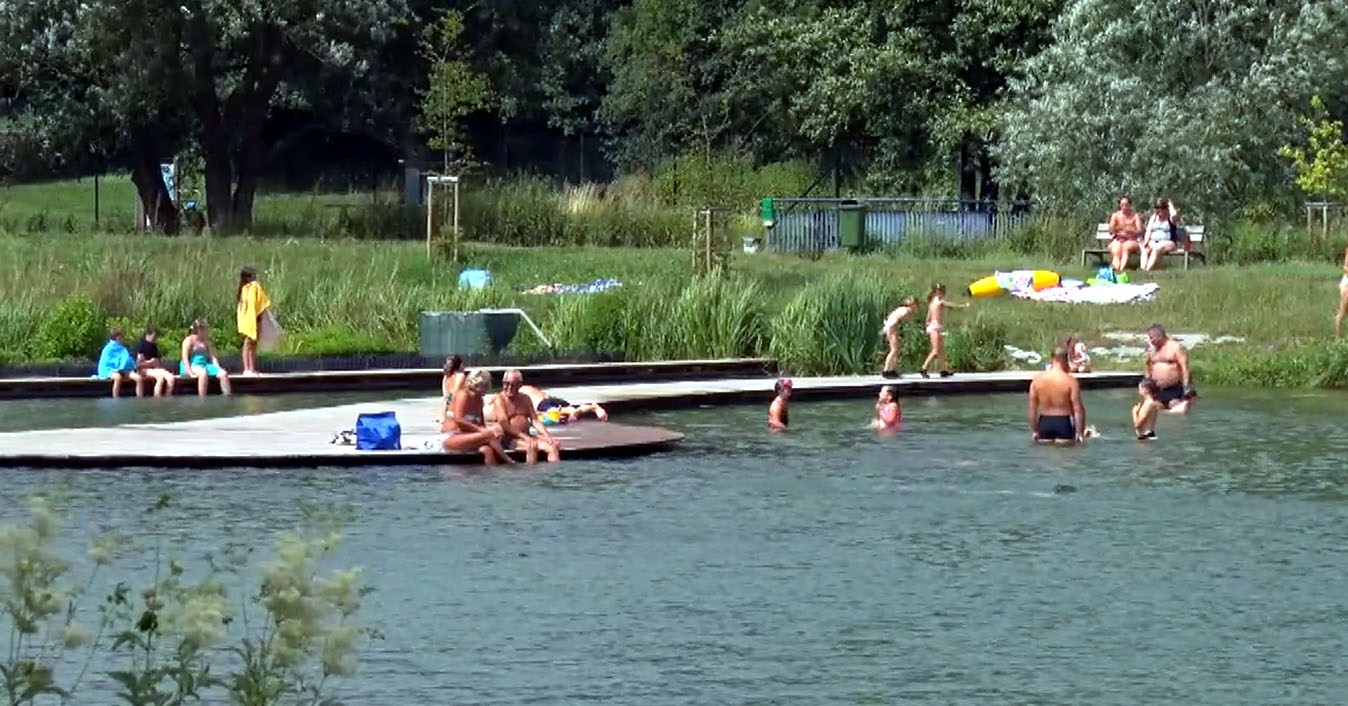 Přírodní koupací biotop - Říčany u Brna - Bítešsko